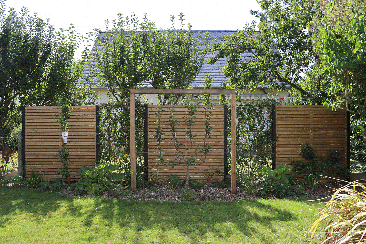 Clôture végétale - L'Univers des jardins